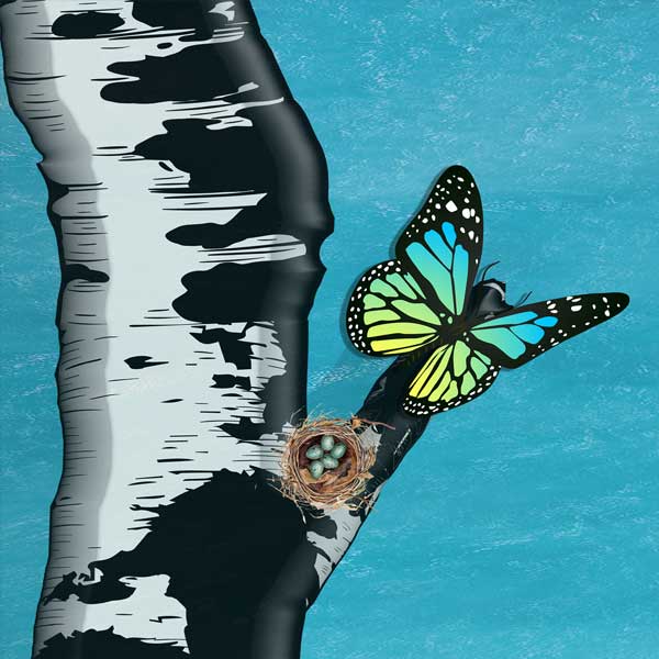 Mother Nature Portable Path | Jump2Math Sensory Paths & Physical Math